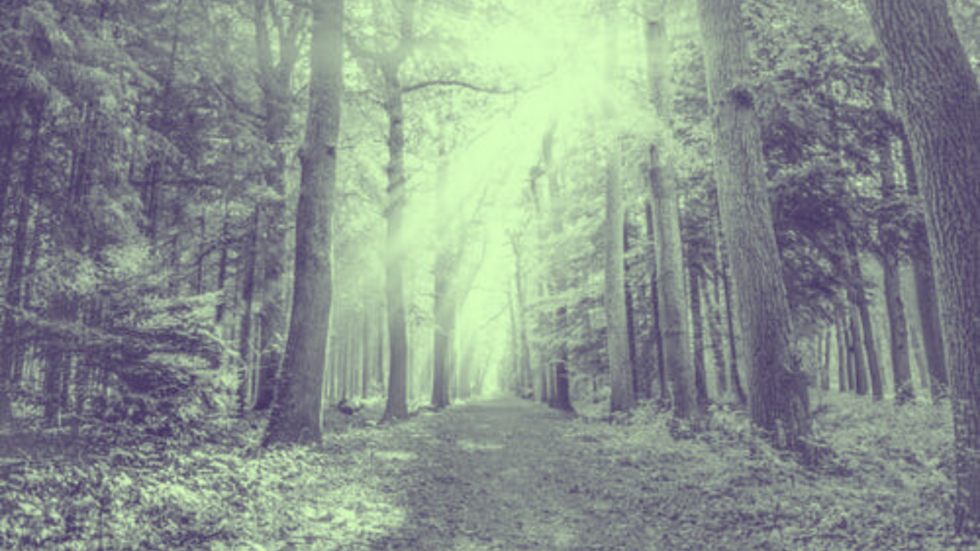 Understanding EMDR Therapy: The Science Behind the Healing - Therapy ...